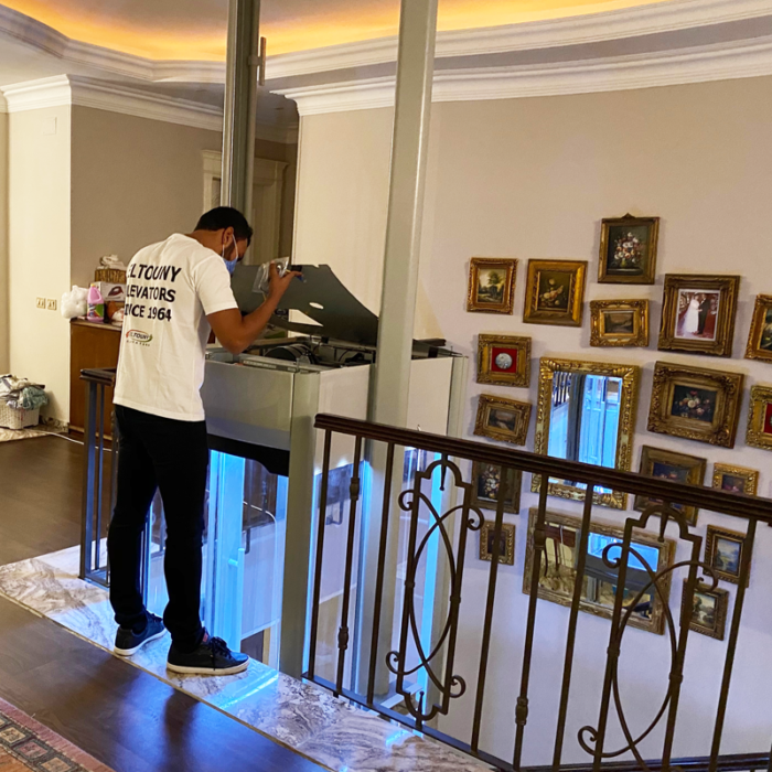Shop Stiltz Trio Wheelchair Home Lift | Eltouny Elevators