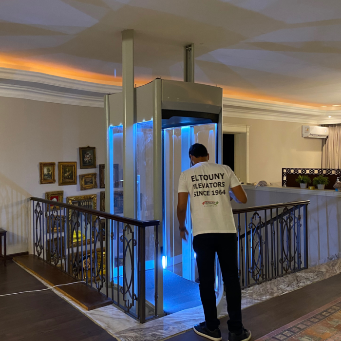 Shop Stiltz Trio Wheelchair Home Lift | Eltouny Elevators